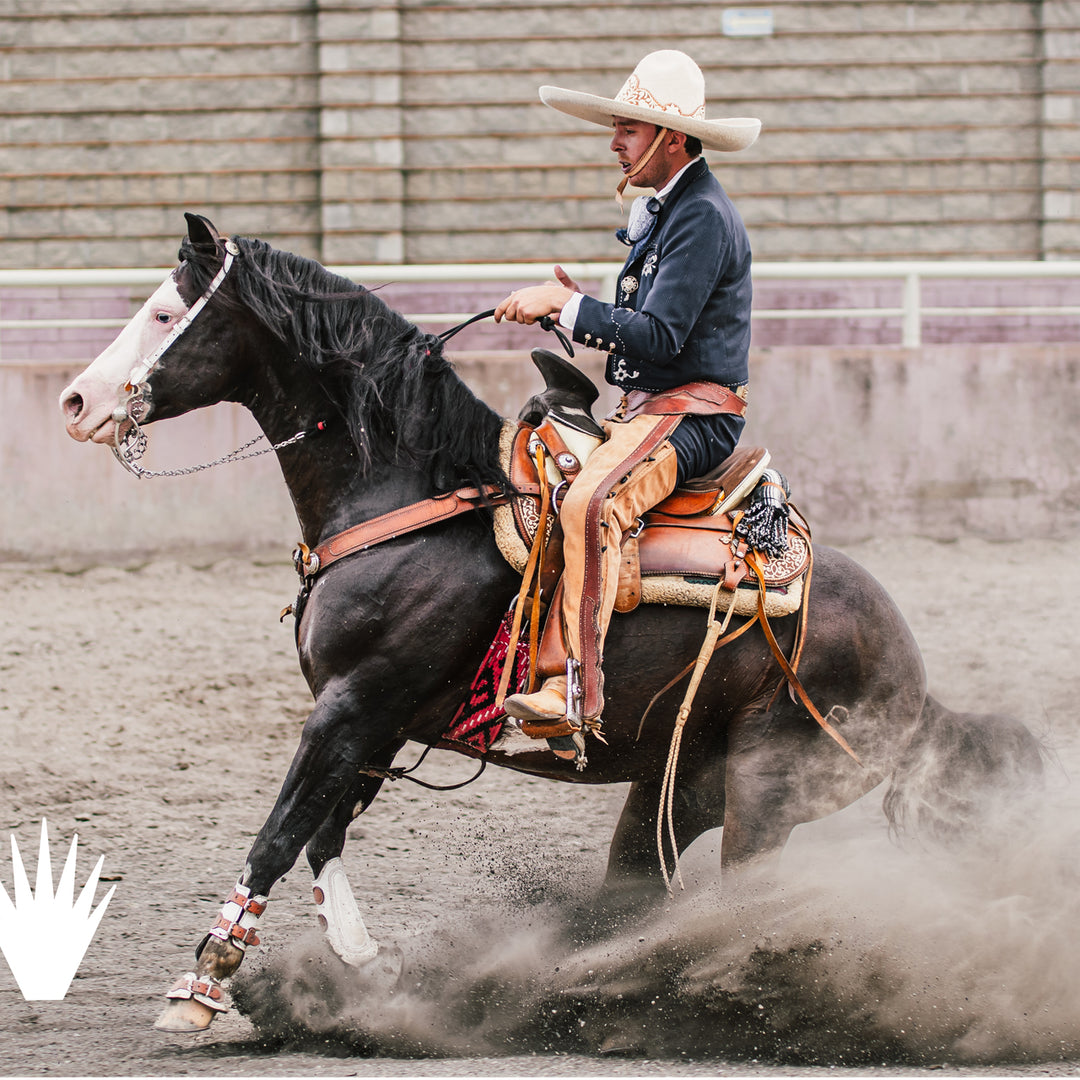 Productos para caballo – Chivali