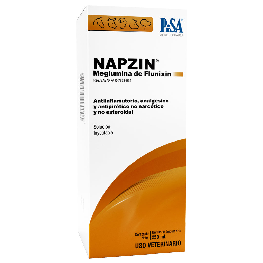 Napzin 250ml - Pisa – Chivali Mx