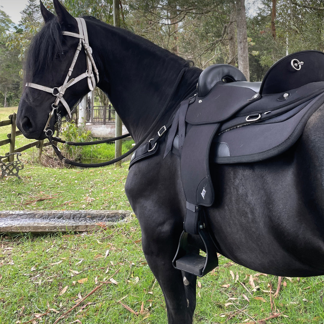 Productos para caballo – Chivali Mx