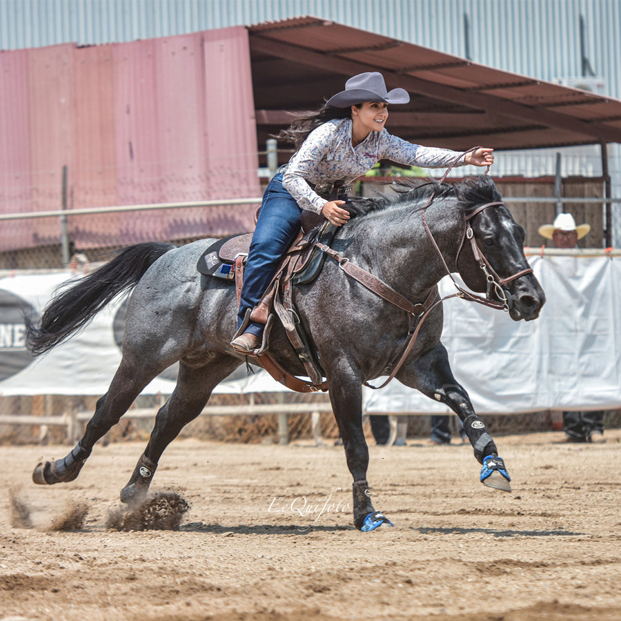 Productos para caballo – Chivali