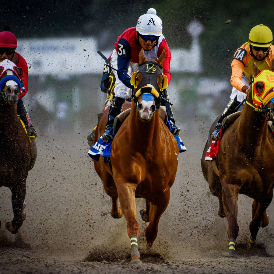 Productos para caballo – Chivali