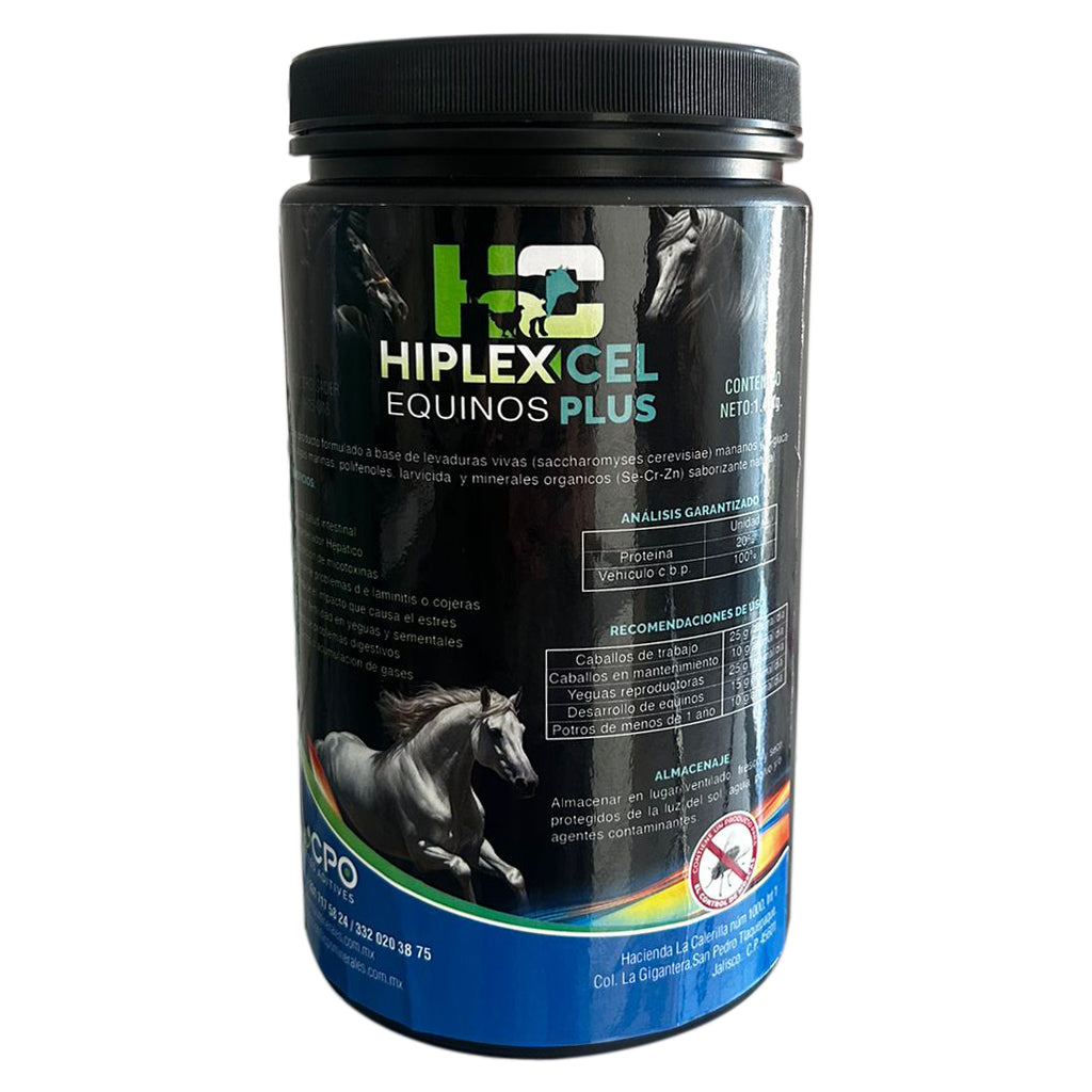 Hilplex gel equinos 1.4kg – Chivali Mx