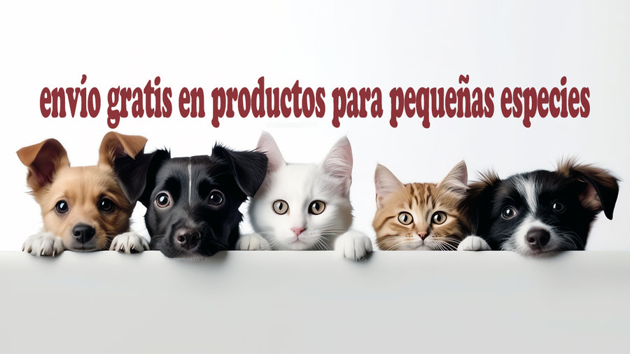 Productos para caballo – Chivali