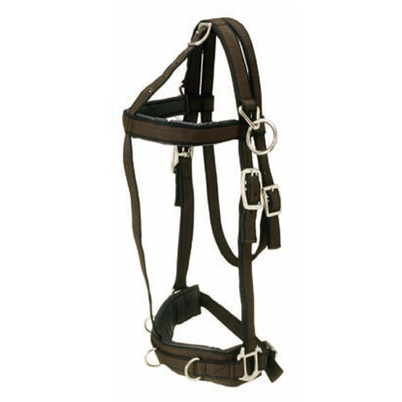 CAVESON #521115 NYLON Y ARGOLLA CON BOSAL , FIELTRO – Chivali Mx