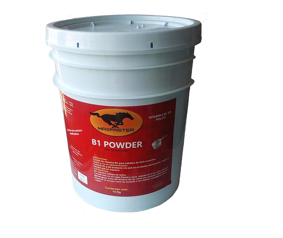 B1 POWDER 33 lbs MAXFASTER – Chivali Mx